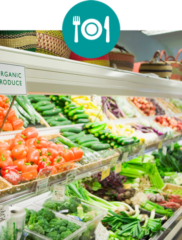 Integrated Cold Chain Logistics | Singapore Trust Services